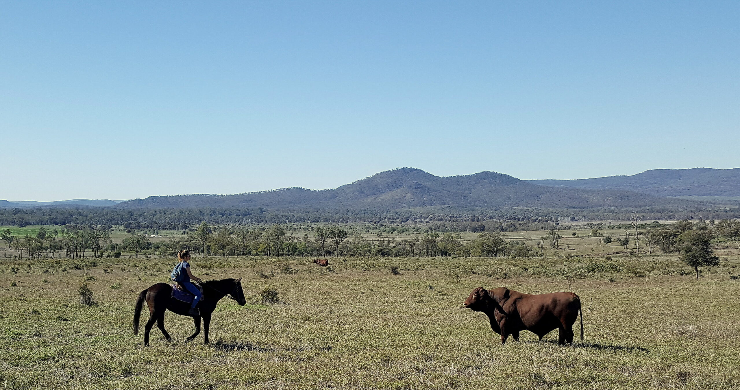 Australie: Alice en stage dans un ranch! • Smilingandtraveling - le ...