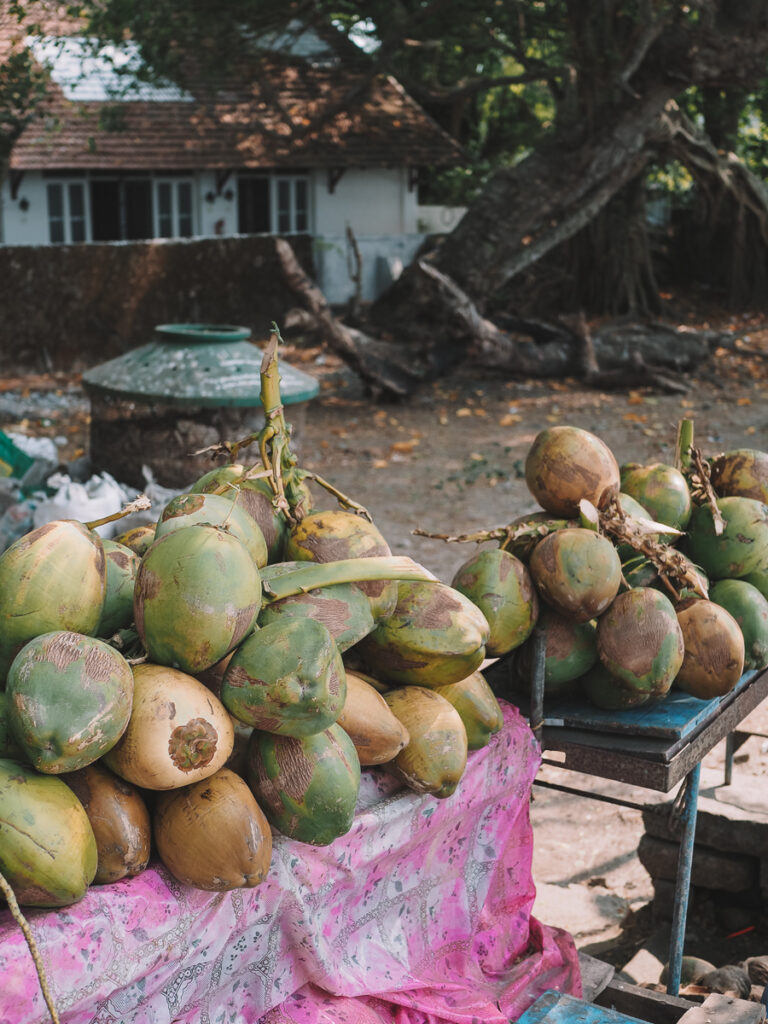 Visiter Cochin (Kochi) en Inde : que faire? Où dormir? Notre Voyage au ...