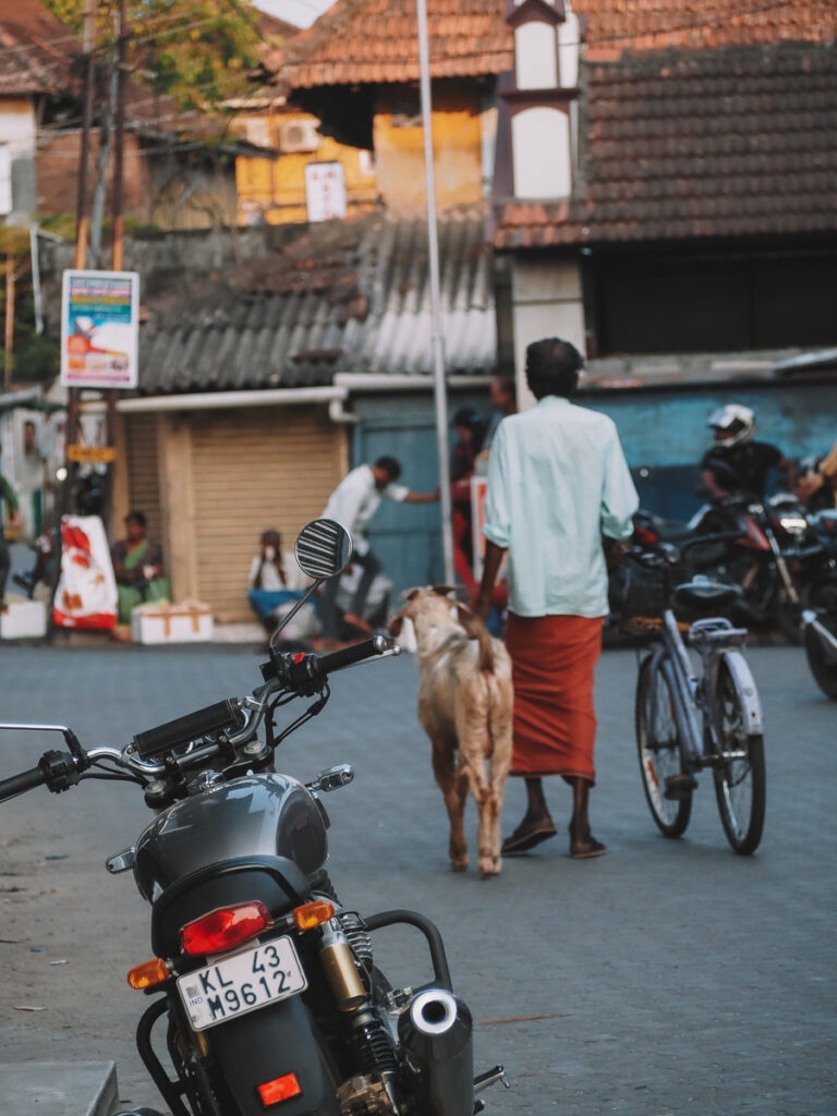 Visiter Cochin (Kochi) en Inde : que faire? Où dormir? Notre Voyage au ...